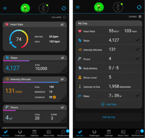 The Story of Garmin Connect App & its Success Fueled by Apple