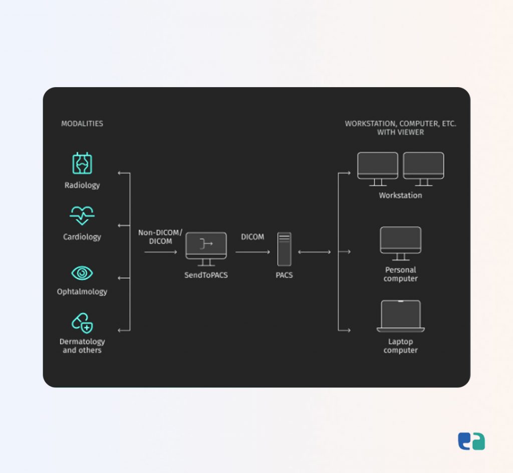 3D Medical Imaging Software Development: 2024 Guide